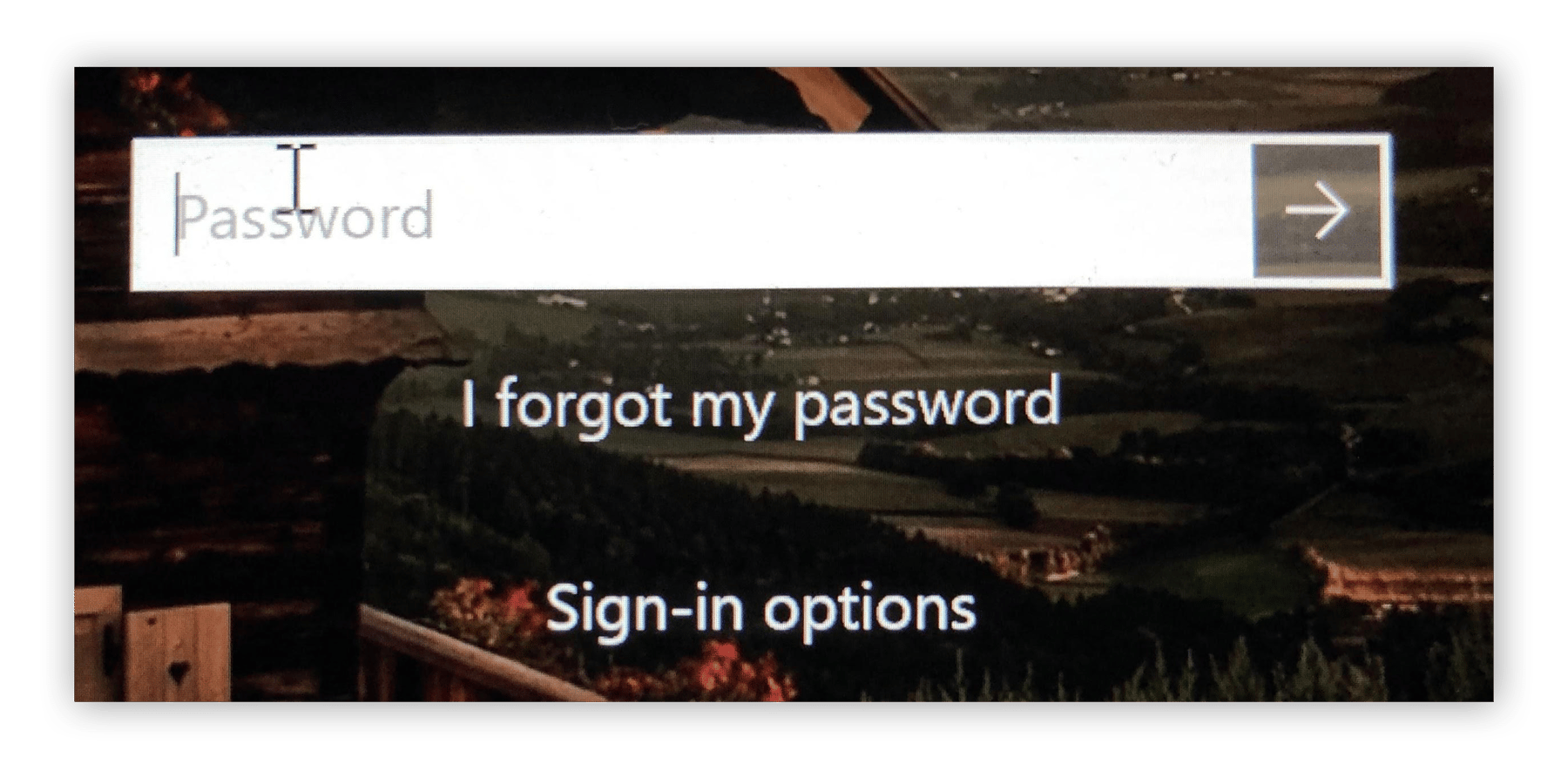 Windows Password Recovery: Reset Lost PC Passwords | Avast